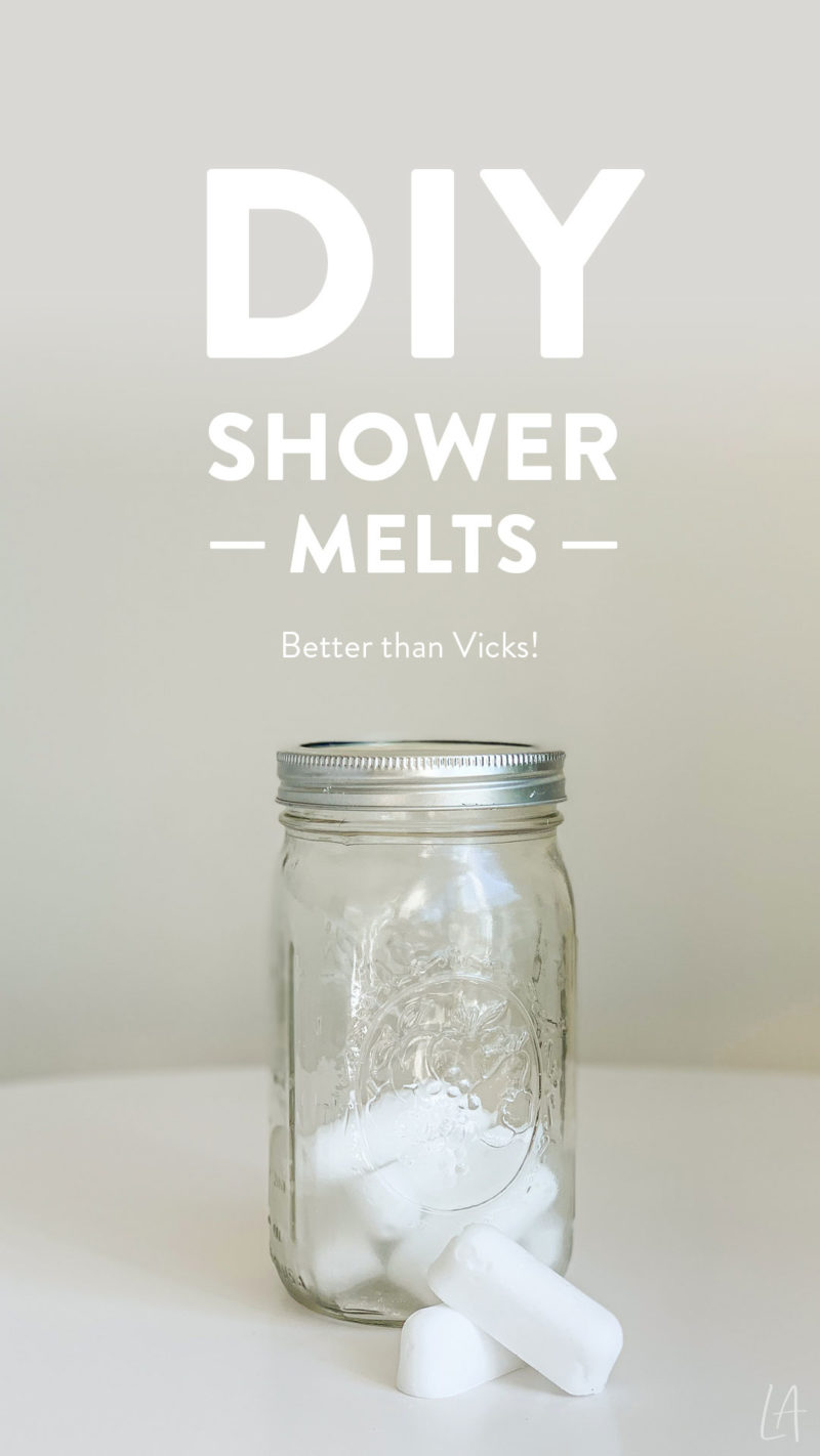 How to make your own shower melts - LAurenrdaniels